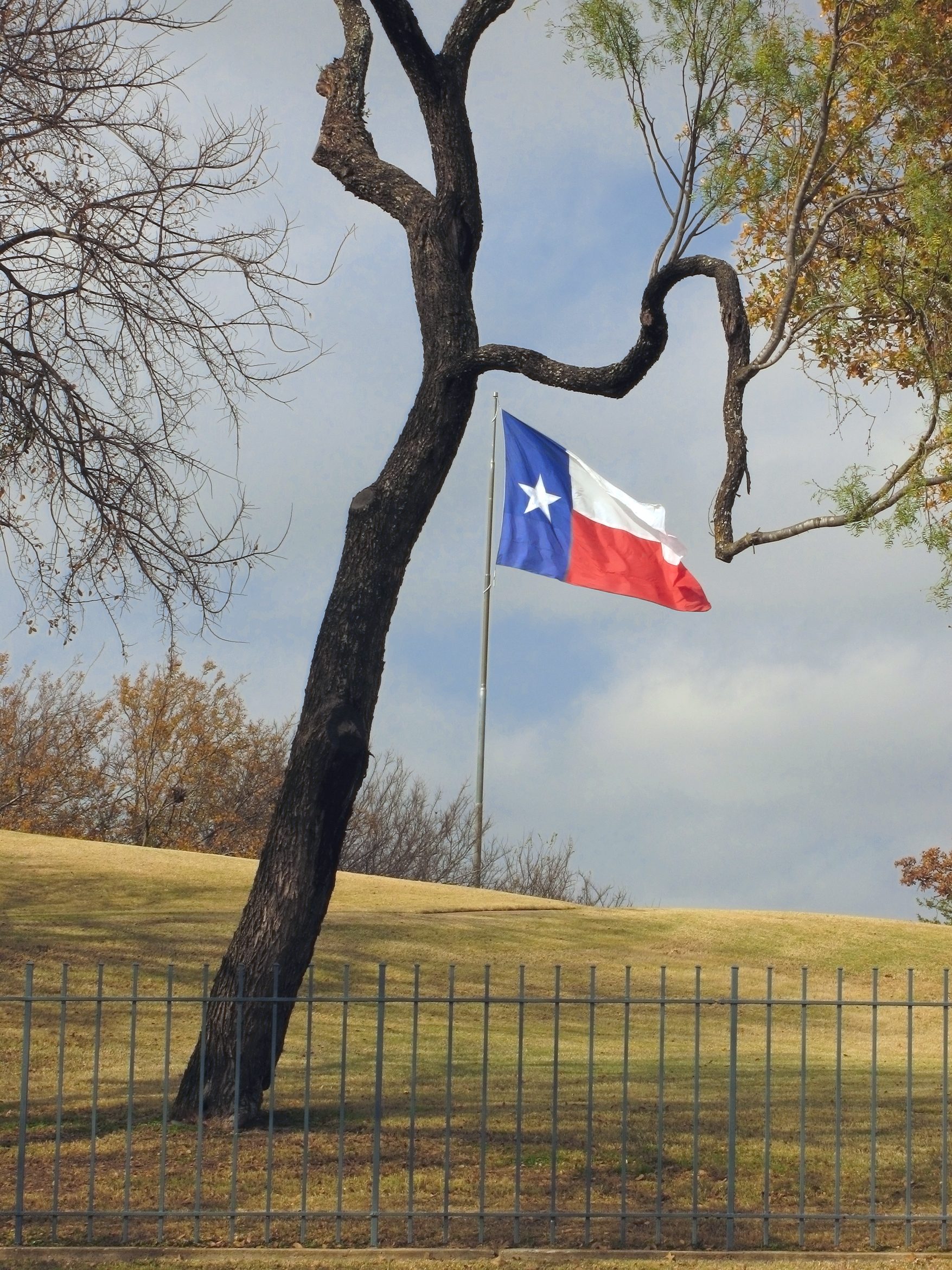 Moving to Mesquite: What You Need to Know | Around the Clock